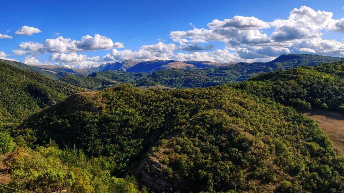 Generare I Report Di Lighthouse Usando Nodejs